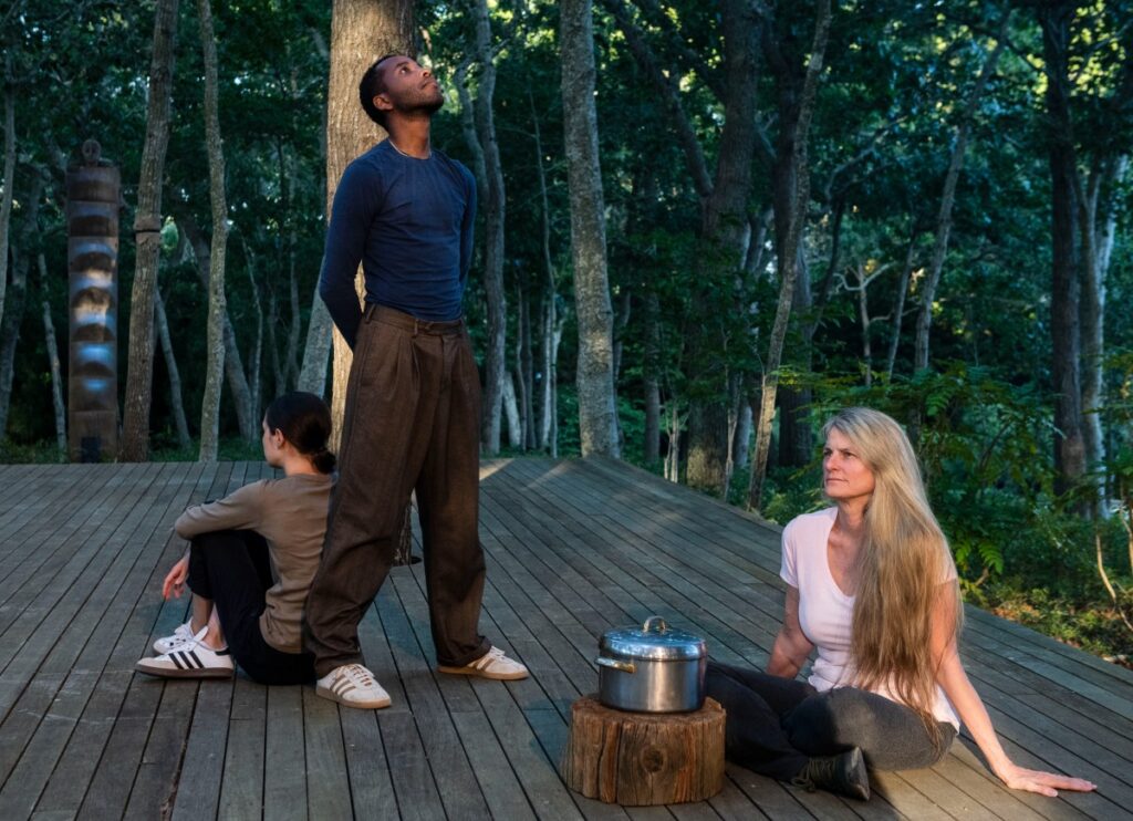 Simone Forti's Pioneering Conceptual Dance Pieces Revived at Watermill ...